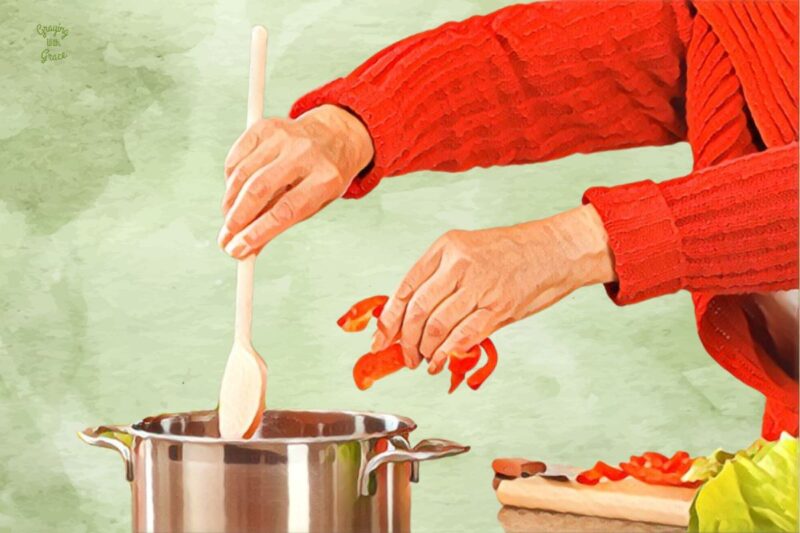 Best Electric Cooker for the Elderly | Graying With Grace