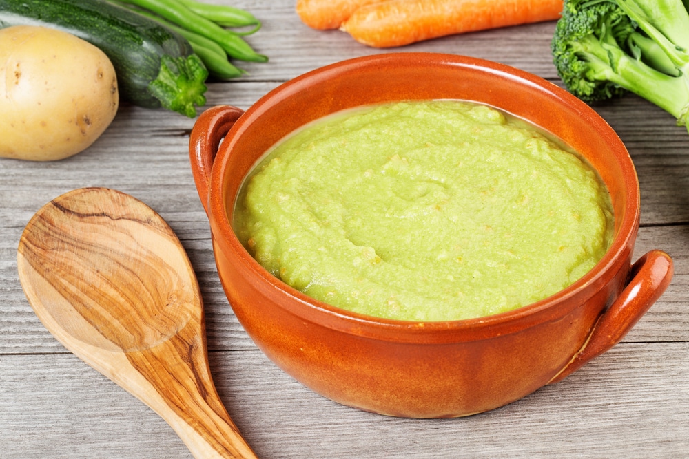 Pureed Meals For Elderly 27 Great Tasting Recipes 