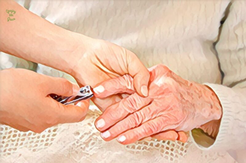 9 Best Toenail Clippers for Seniors & the Elderly (Easy to Use)