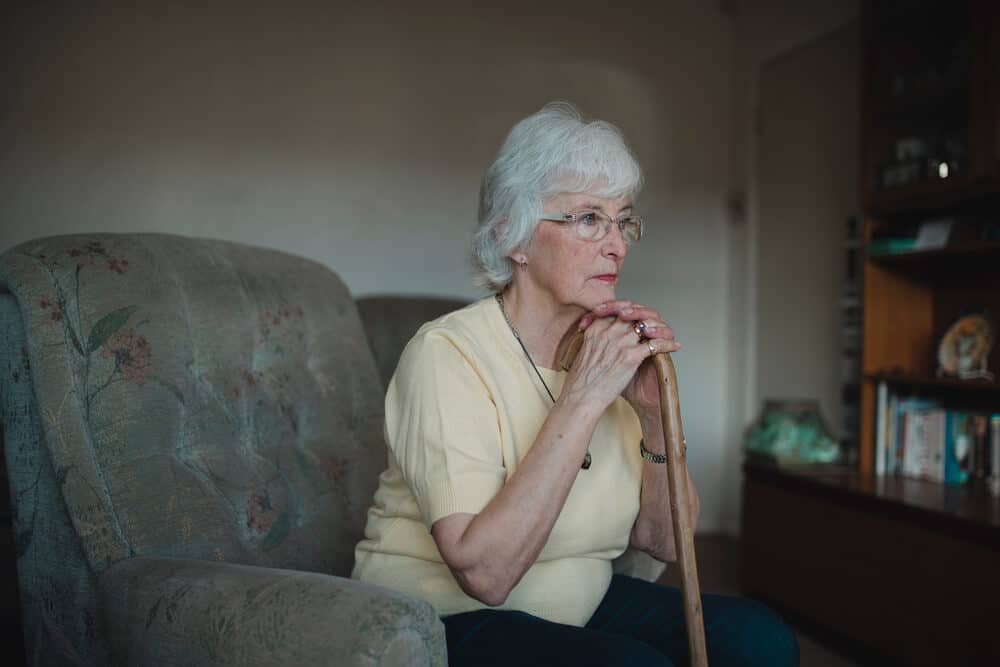 Best Dog for an Elderly Widow or Widower | Graying With Grace