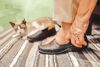 The Best Slippers For Severe Edema [Reduce Shoe Pain]