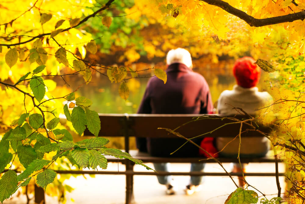 14 Fun Fall Activities For Seniors [Indoors and Out]