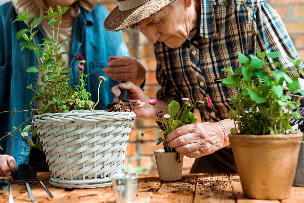 13 Things for Dementia Patients To Do With Their Hands