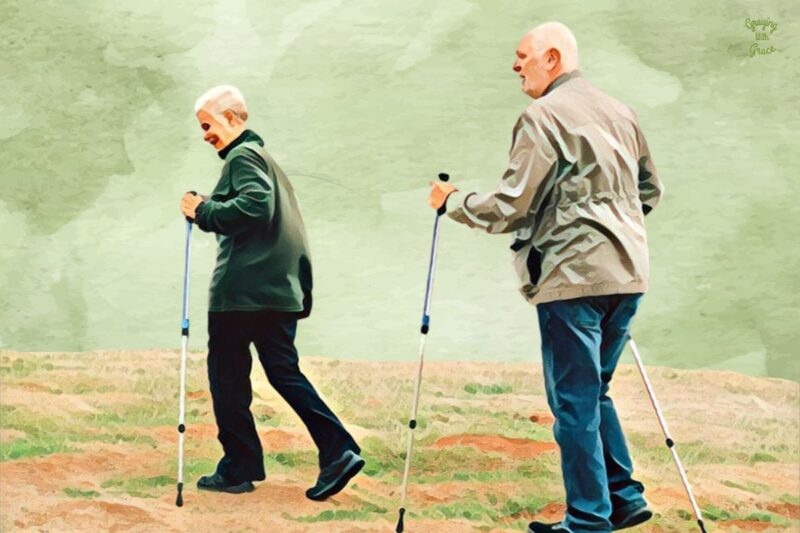 Best Walking Sticks and Trekking Poles for Safer Senior Strides