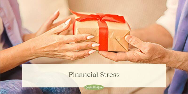 The Gift of Assistance: Enriching the Christmas Experience for Seniors