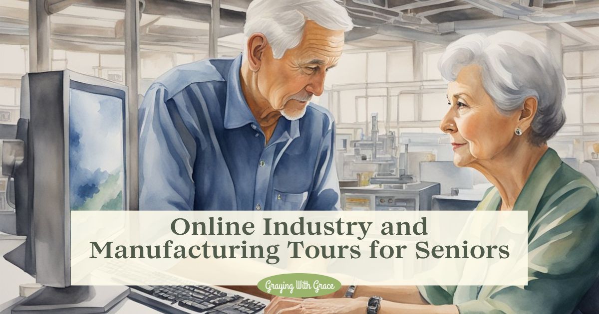 Exploring the World from Home: Virtual Tours for Seniors