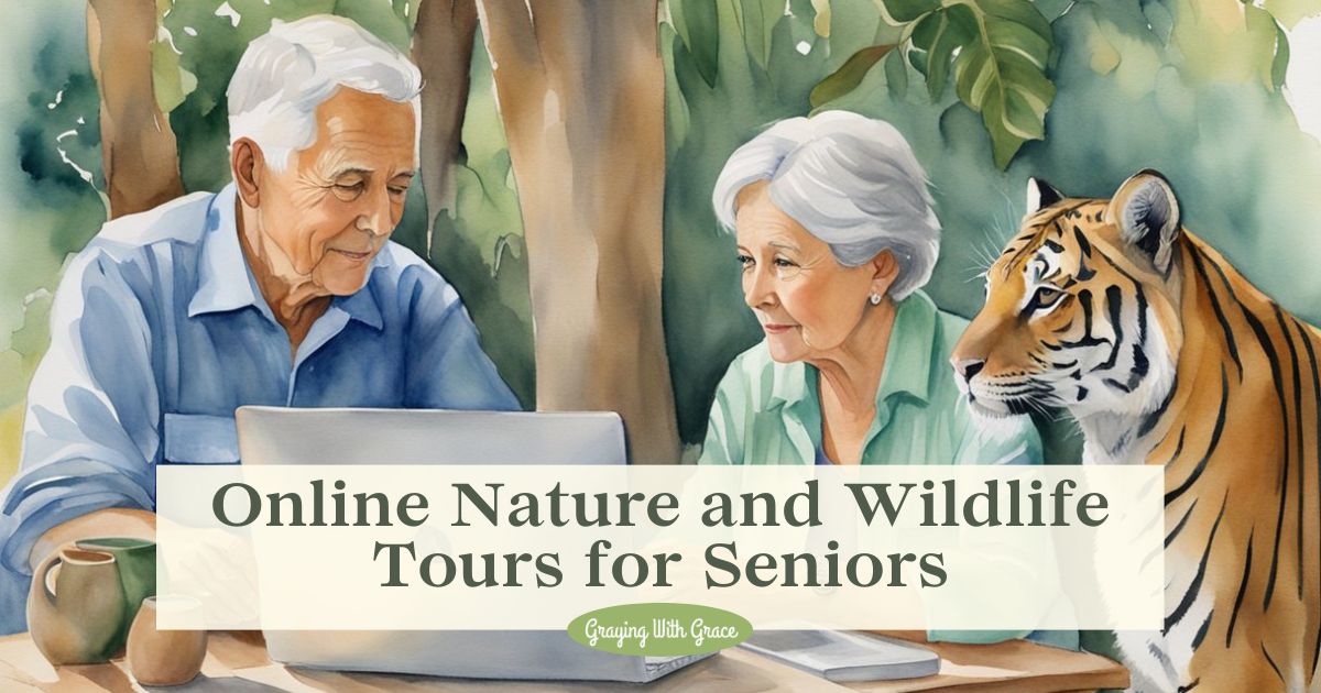 Exploring the World from Home: Virtual Tours for Seniors