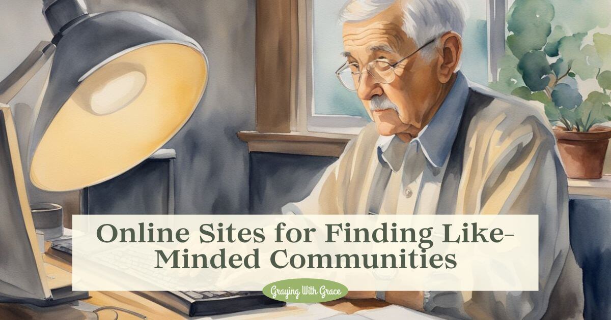 Combatting Senior Isolation: Sources of Online Friendships
