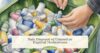 Easing the Medication Management Burden: Empowering Strategies for Seniors